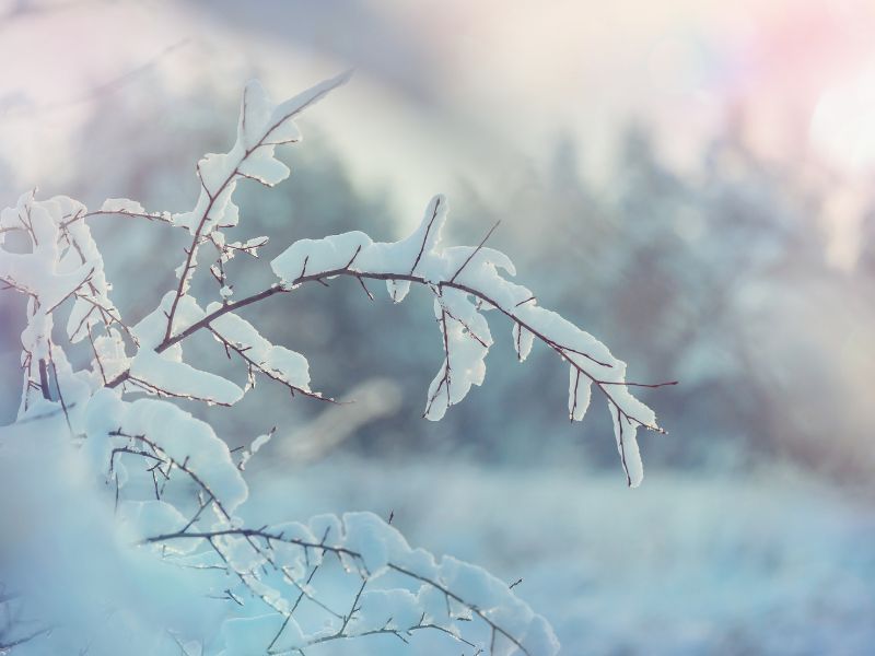 Spa Breaks Yorkshire | Spa Hotel Deals | Chevin Country Park